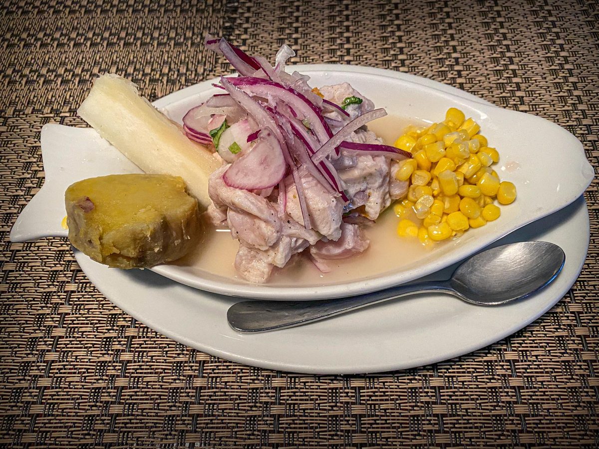 Die Sodas von Costa Rica – Kochgenossen