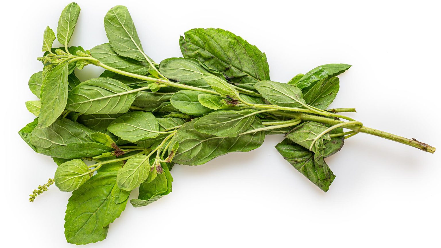 Pad Kaprao Moo / Schweinefleisch mit Heiligem Basilikum – Kochgenossen